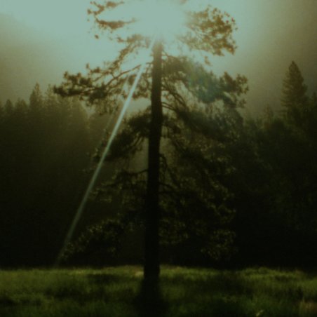 TONY JOE MAGANA - CremationSociety.com